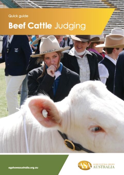 Beef Cattle Judging | ASA - Agricultural Shows Australia