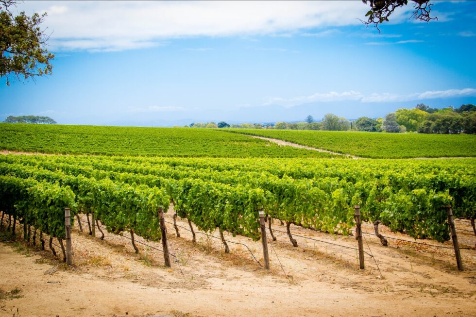 2026 RASC Conference in Cape Town! | ASA - Agricultural Shows Australia
